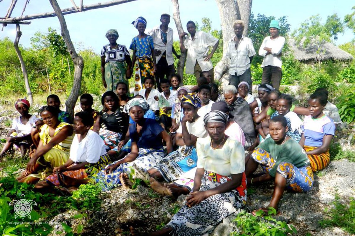 Jimba Pomboo – Local Ocean Conservation