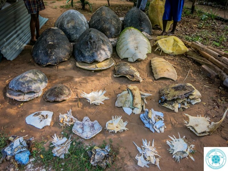 Anti-poaching patrol – Local Ocean Conservation