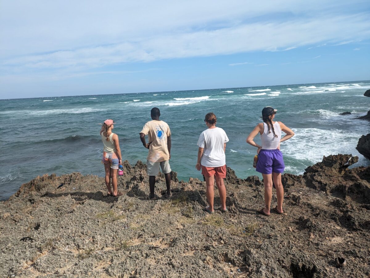 All programmes – Local Ocean Conservation